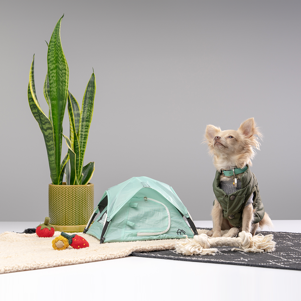 Micro Tent – Tiny Tents